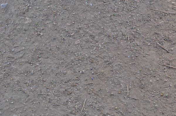 stone ground texture 0061 - Texturelib